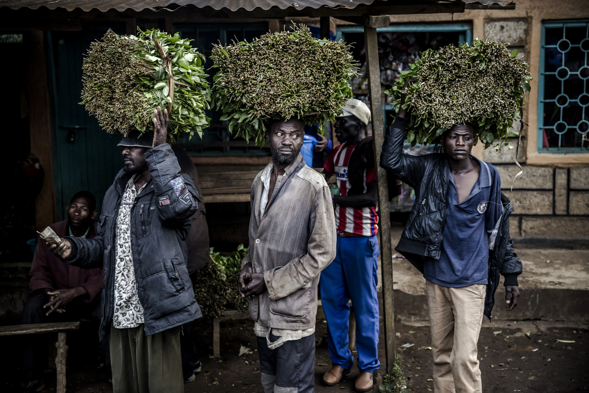 The wild ride of East Africa's favorite stimulant