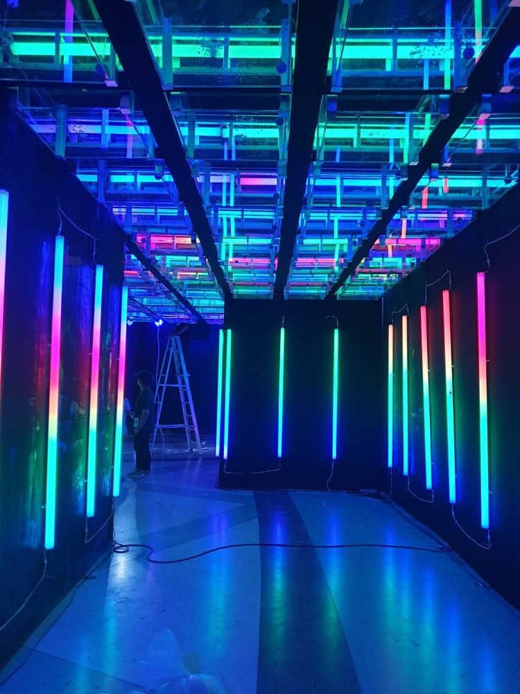 TAT launches ornamental fish light and sound show in bid to boost ...