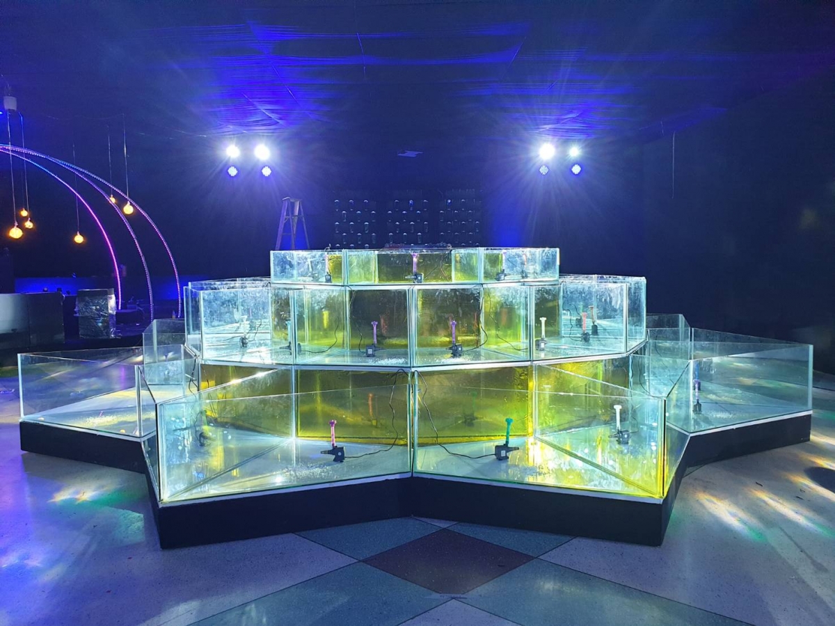 TAT launches ornamental fish light and sound show in bid to boost ...