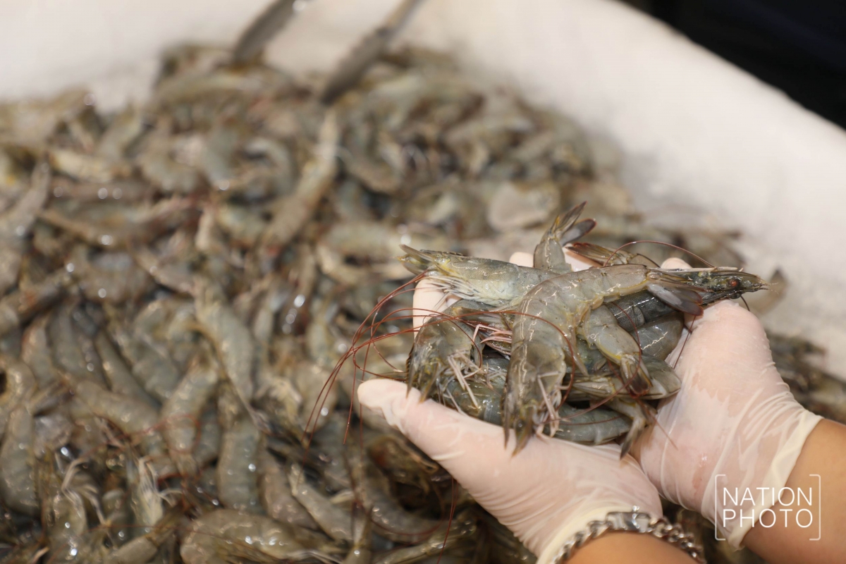 Makro launches campaign to help shrimp farmers
