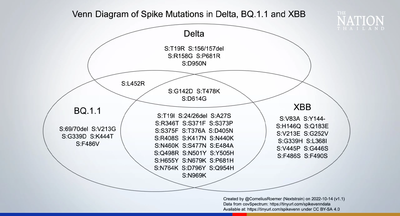 Virus expert voices concern about new XBB, BQ.1.1 subvariants mixing