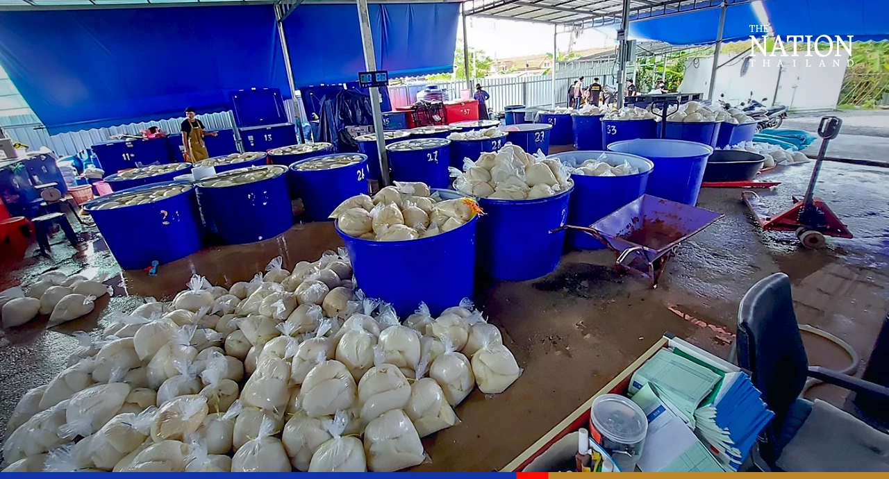 Over 25 tonnes of meat, formaldehyde-spiked offal seized from ...