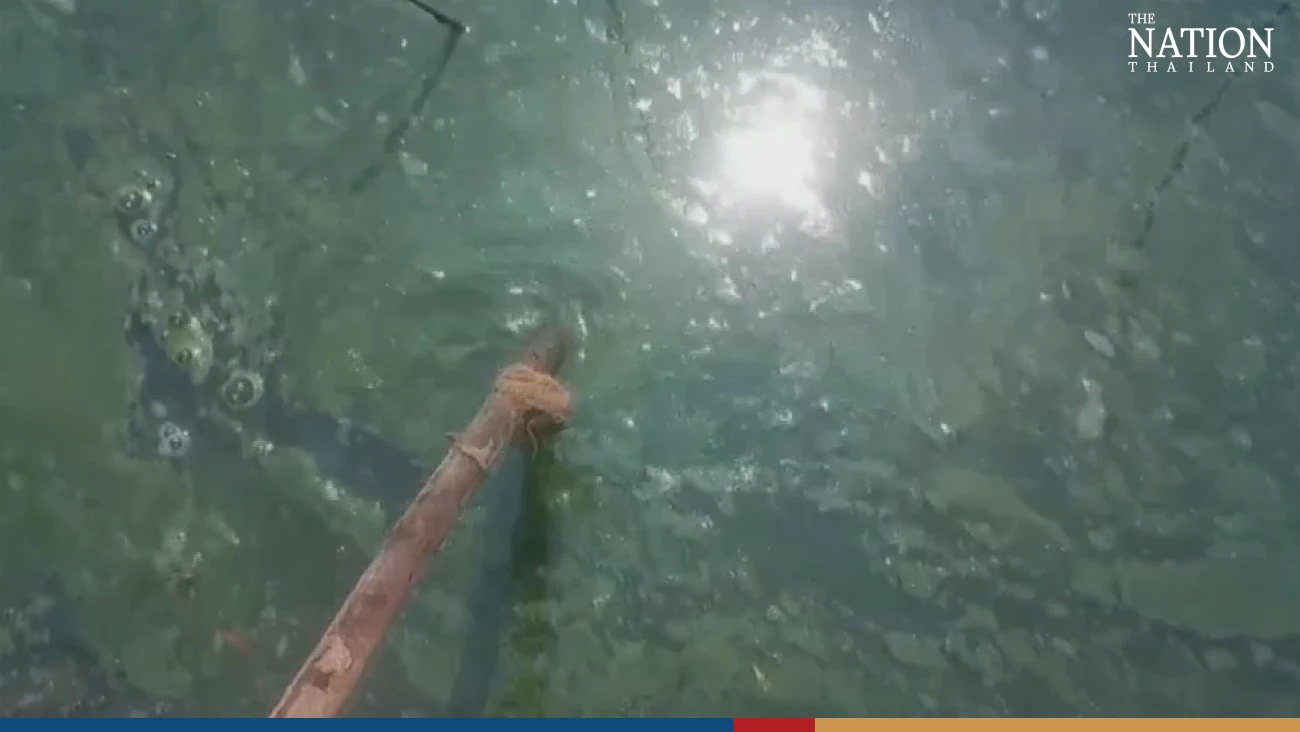 River’s shocking colour change sparks worries of ecological distress