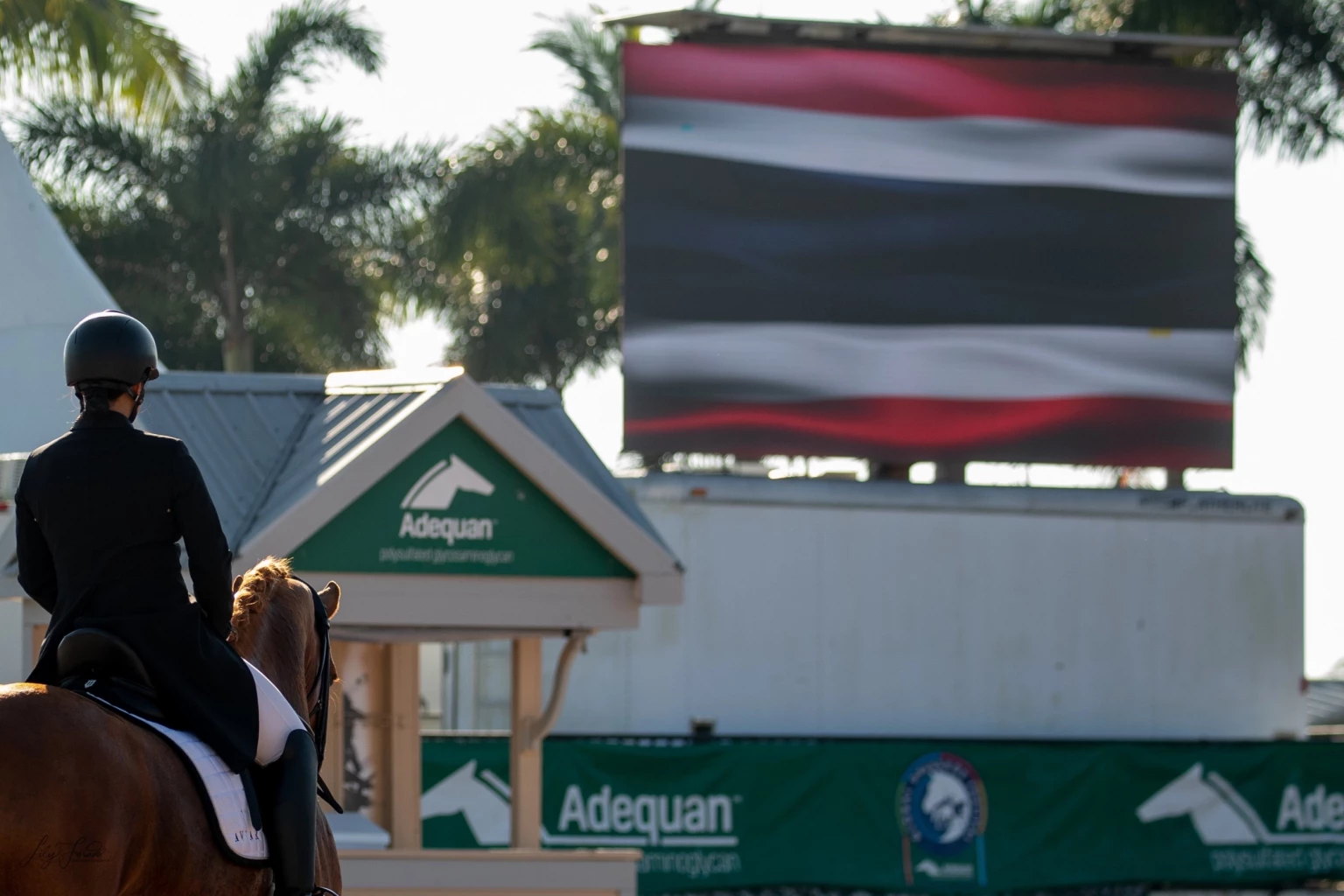 “Patty” Suphajit Vuntanadit – two consecutive wins in CDI1 ...