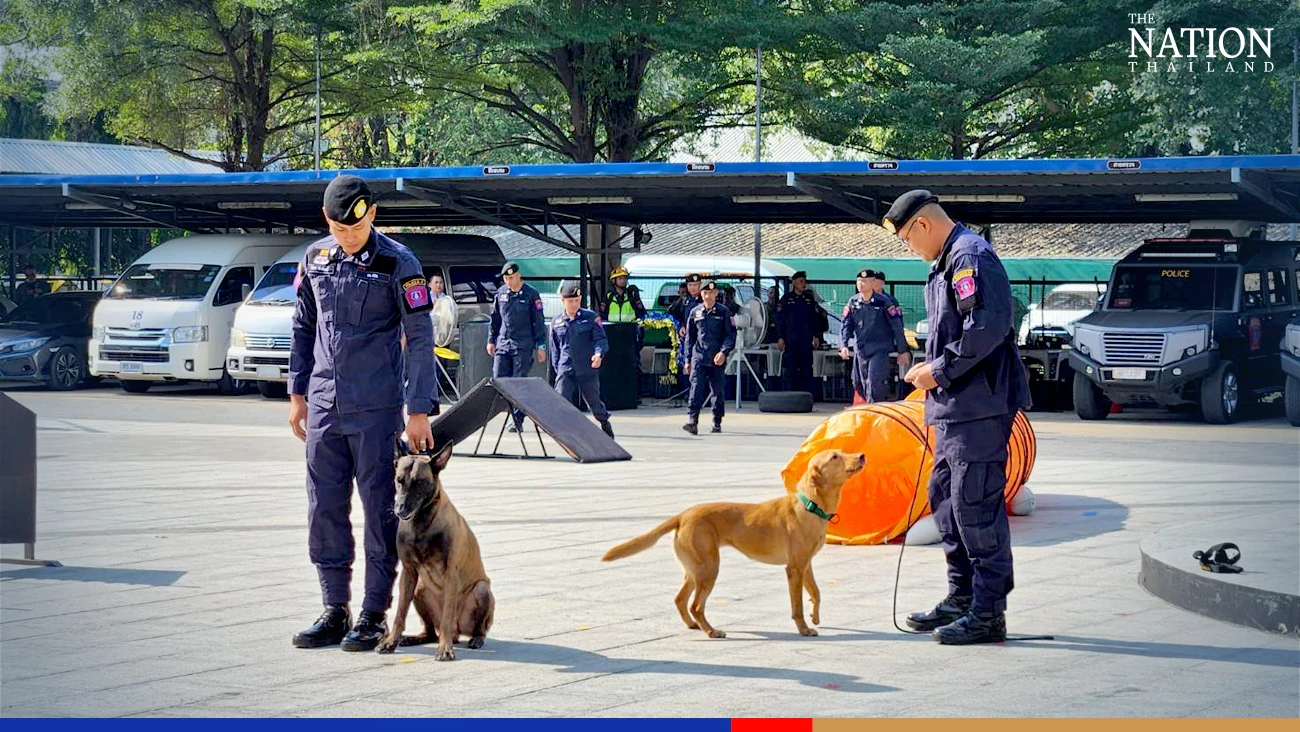 K-9 stars Ira, Cola now ‘police majors’ for solving Nong Chompoo, Ice ...