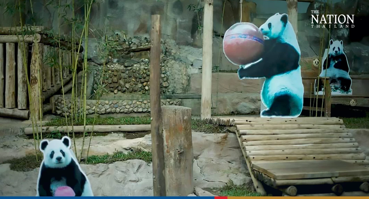 Chiang Mai Zoo officials bid tearful farewell to giant panda Lin Hui