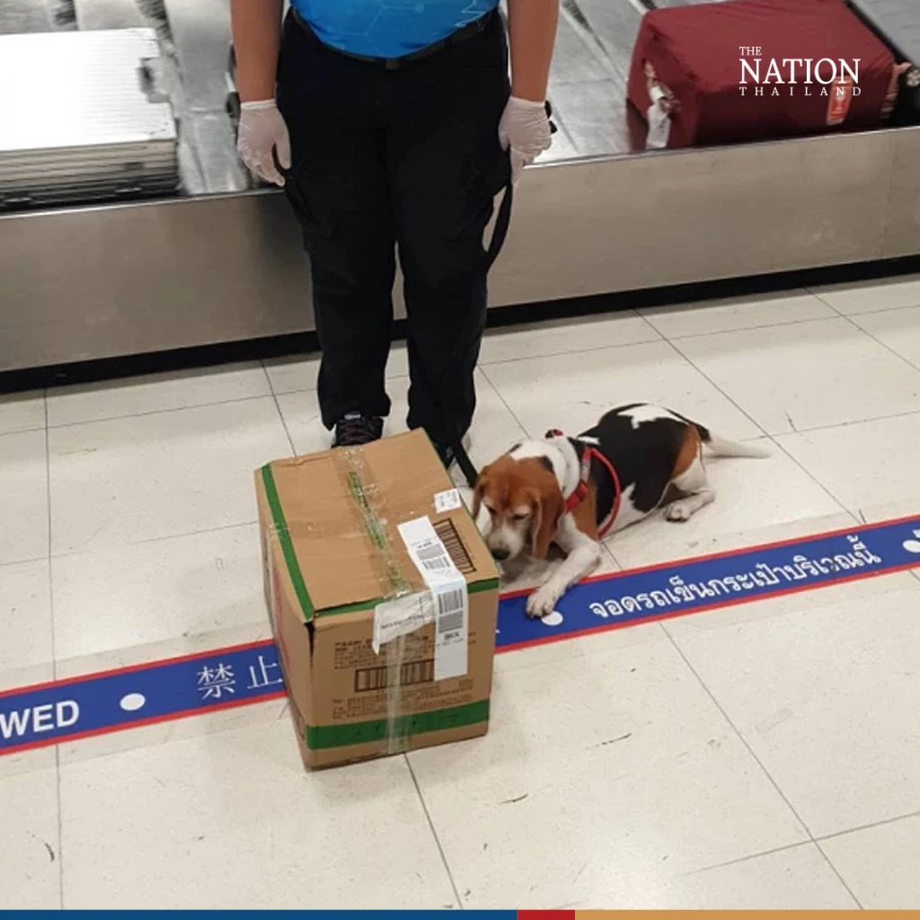 Thailand’s ‘Inspector Beagles’ can be a smuggler’s worst enemy