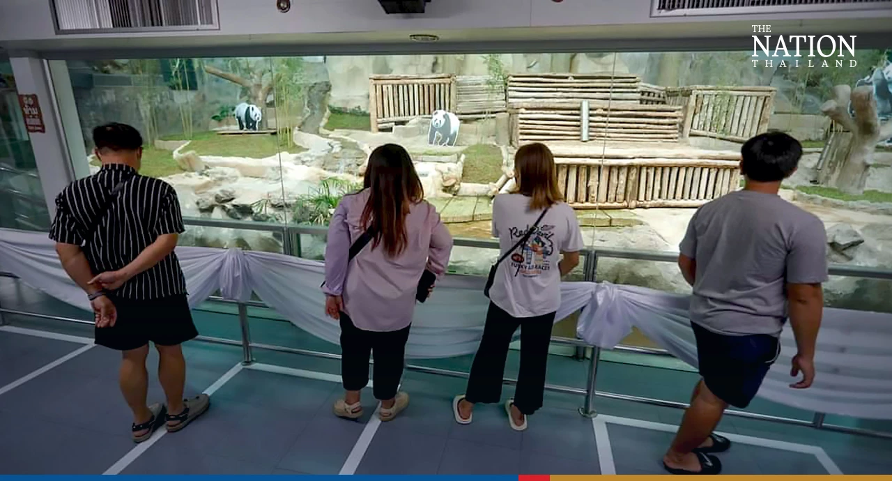 Chiang Mai Zoo officials bid tearful farewell to giant panda Lin Hui