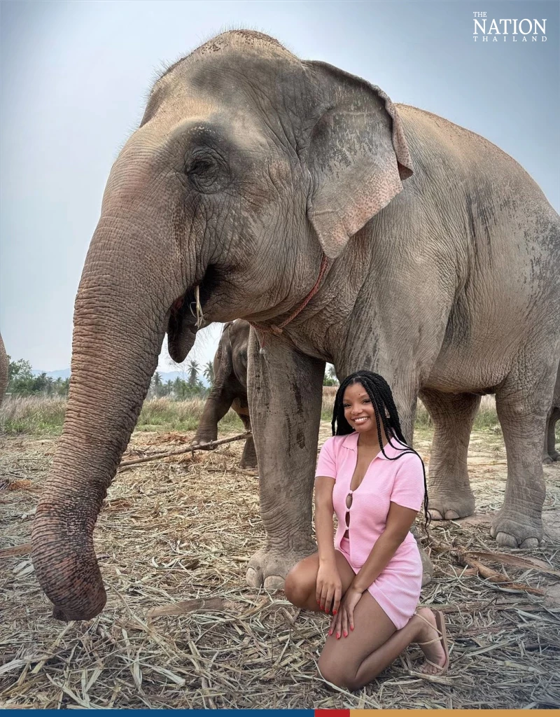 US superstar Halle Bailey makes low-profile but festive visit to Thailand