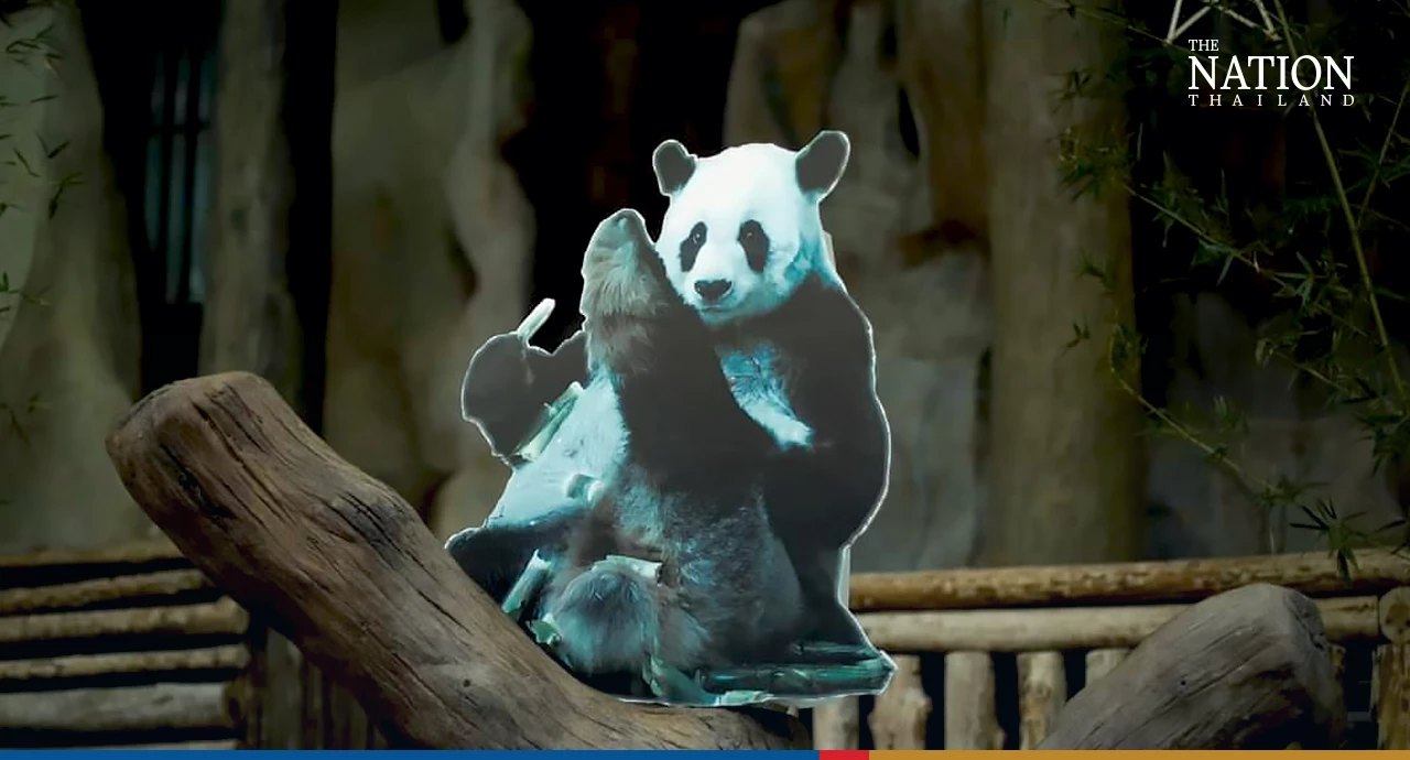 Chiang Mai Zoo officials bid tearful farewell to giant panda Lin Hui