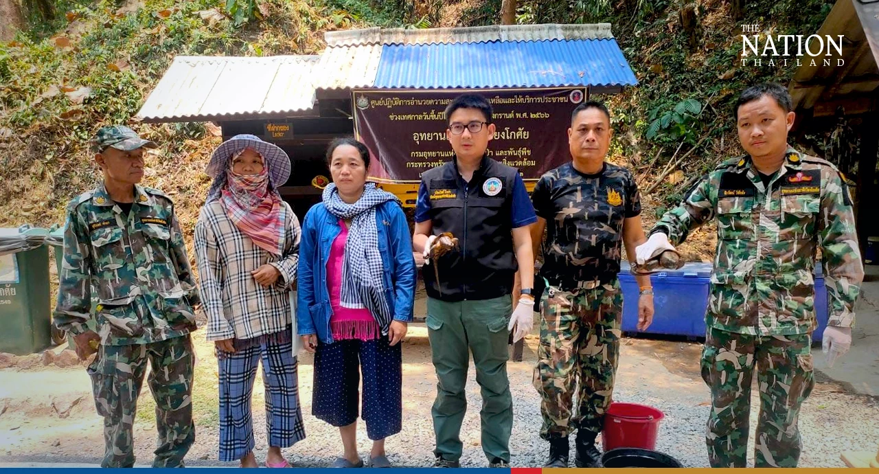 Endangered big-headed turtles found in a pond released to nature