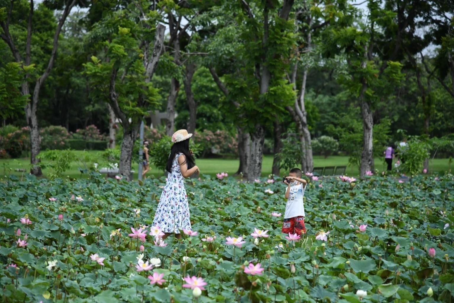 Rot Fai Park in Chatuchak now opens half an hour earlier at 4.30am