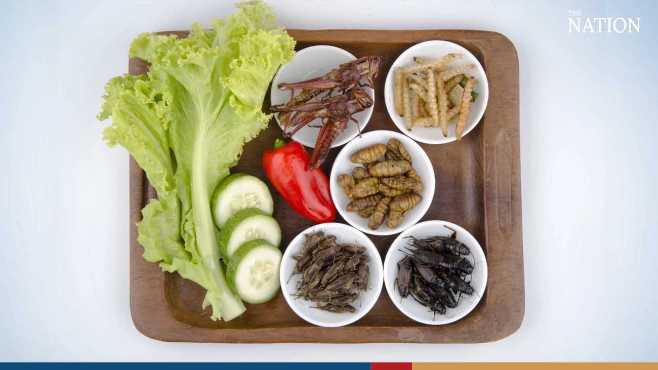 Thailand can feed growing global appetite for future food: Commerce Ministry