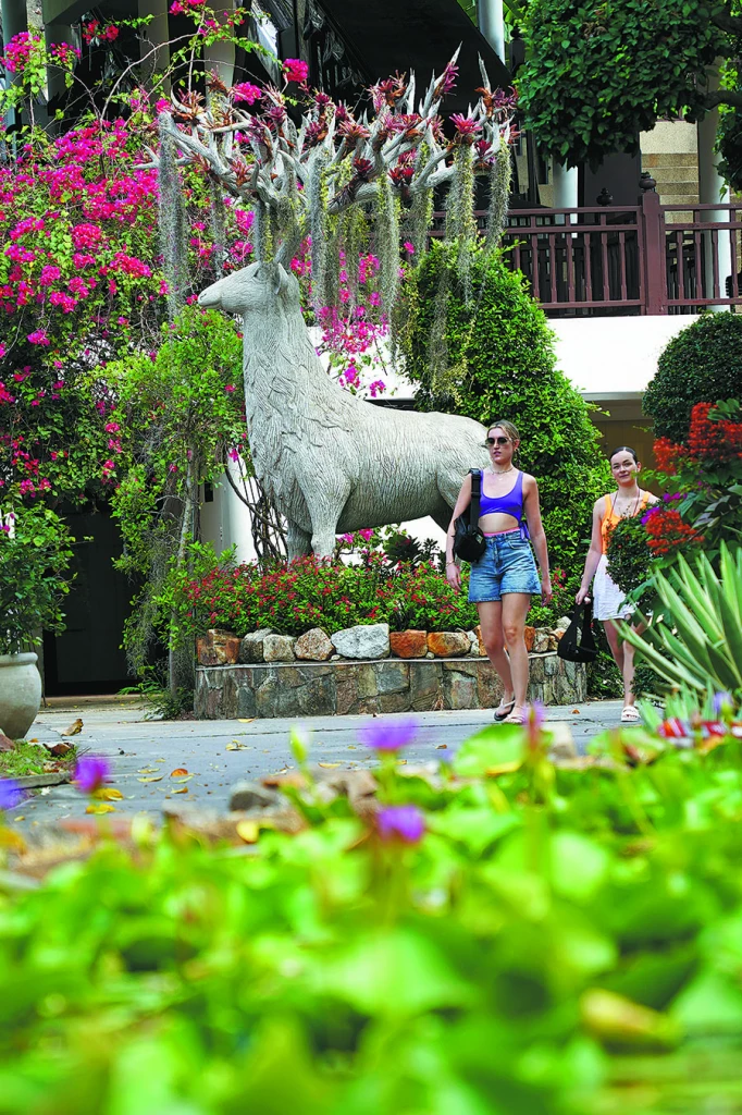 An eco-friendly trip in Phuket