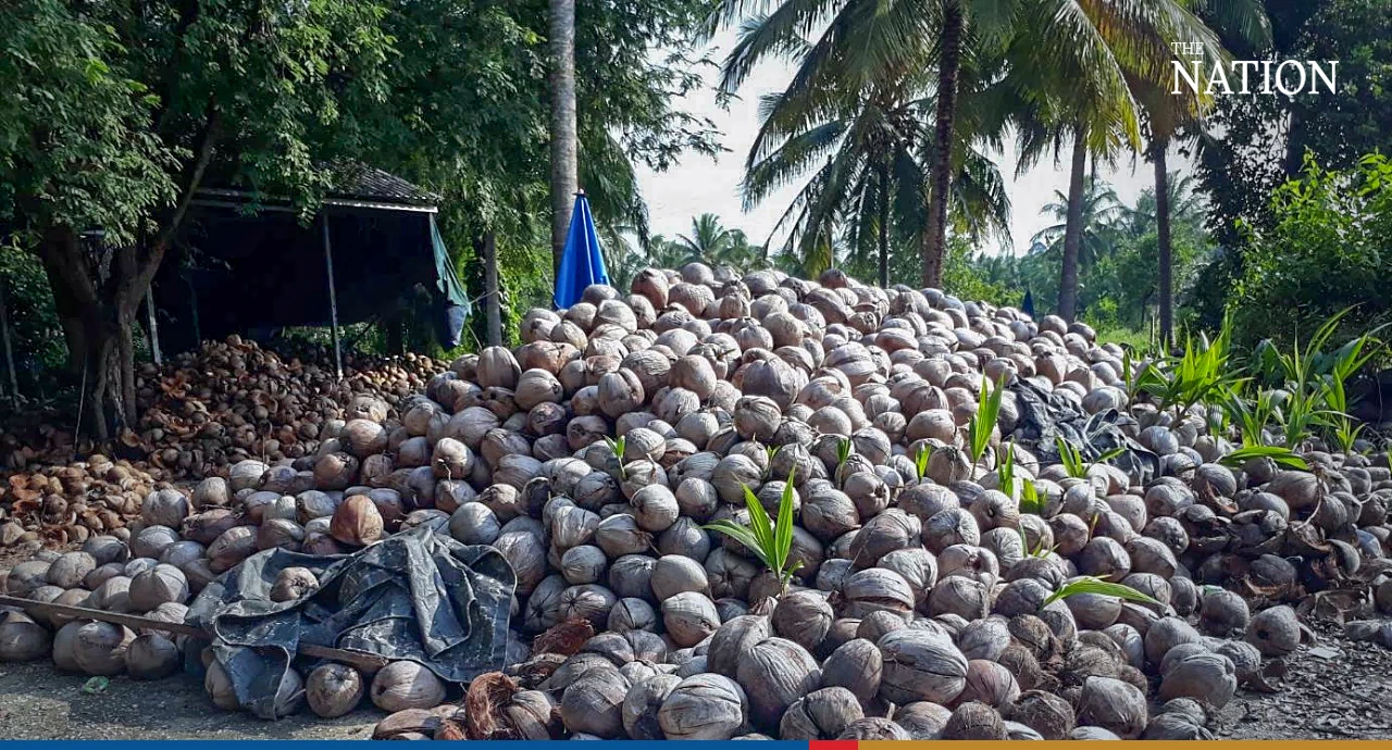 Govt told to stop monkeying around as coconut-boycott campaign stings