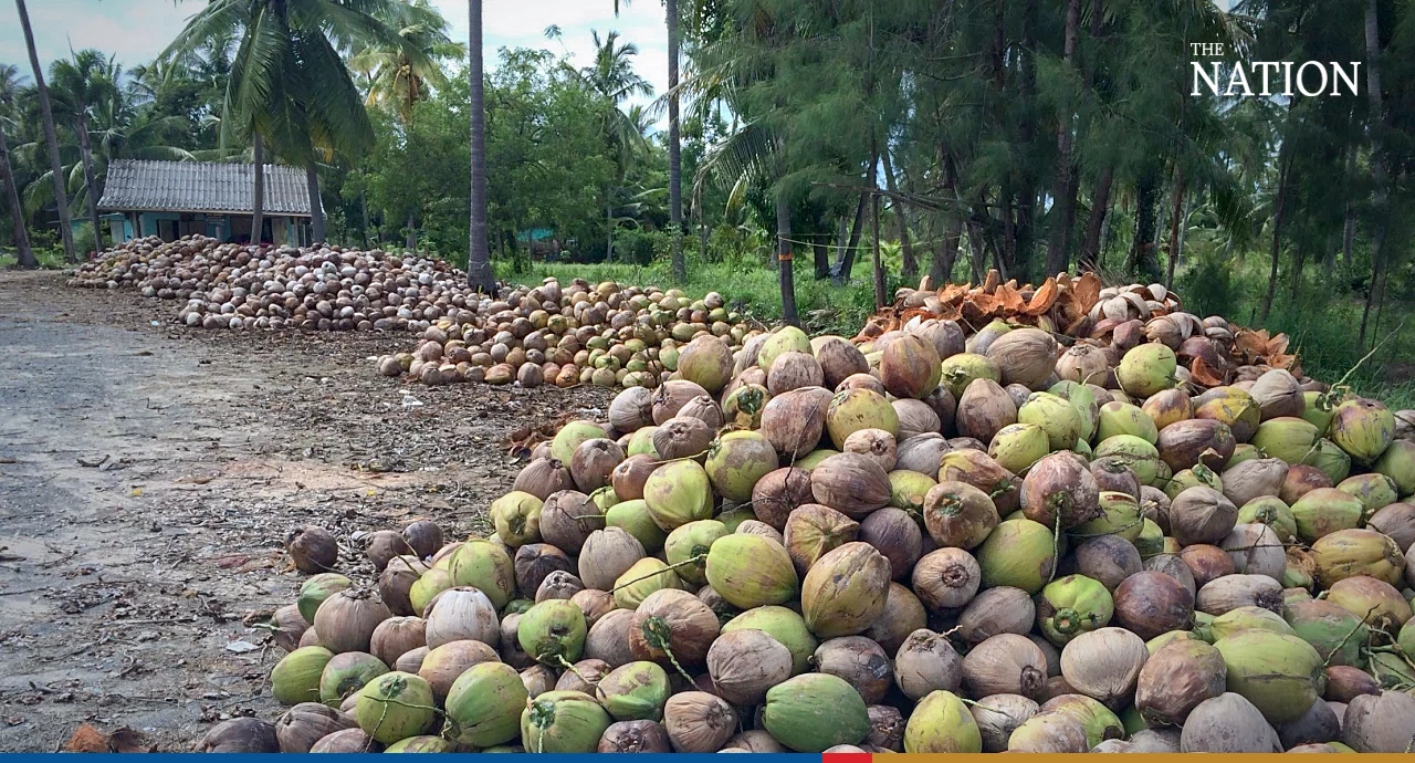 Govt told to stop monkeying around as coconut-boycott campaign stings