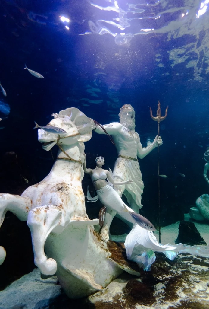 ‘Dive into fantasy’: Korean aquaphiles turn to art of mermaiding