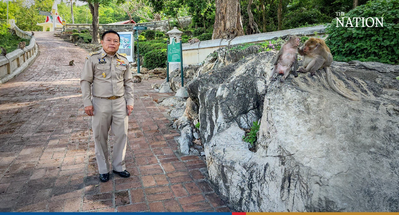 Monkey business: Locals complain as Phetchaburi overrun with thieving ...