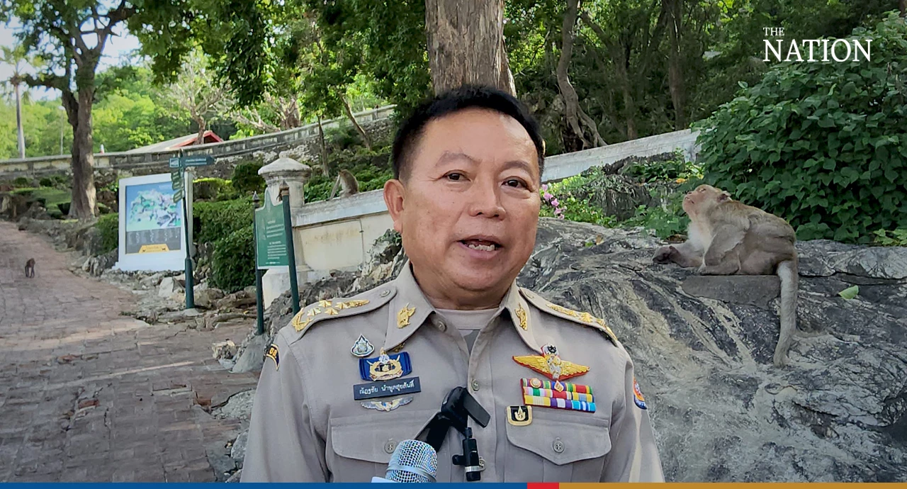 Monkey business: Locals complain as Phetchaburi overrun with thieving ...