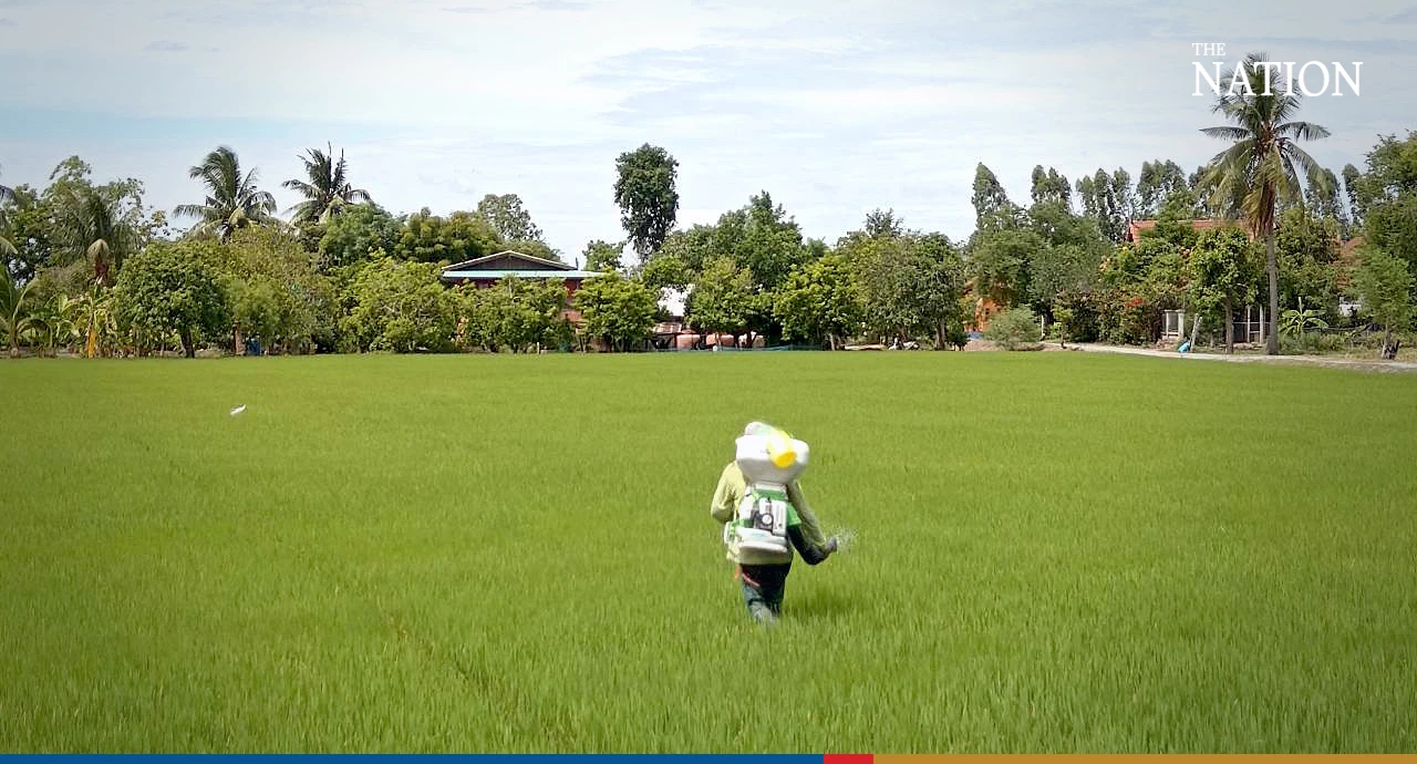 Another 8 million euros invested in Thai Rice NAMA project