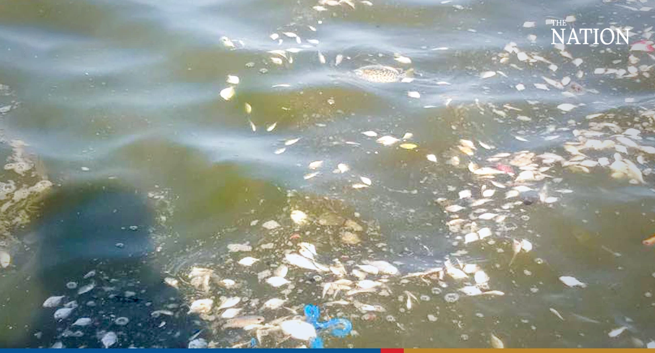 Visitors to Chonburi’s Sriracha Beach greeted with foul-smelling ...