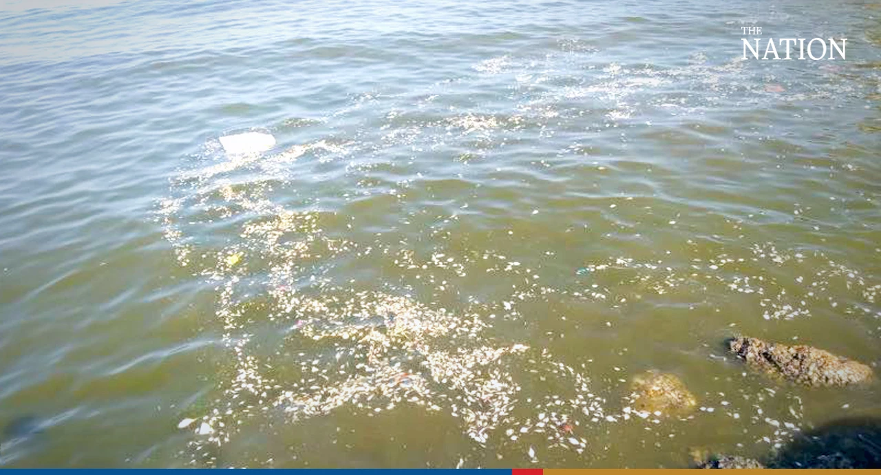 Visitors to Chonburi’s Sriracha Beach greeted with foul-smelling ...