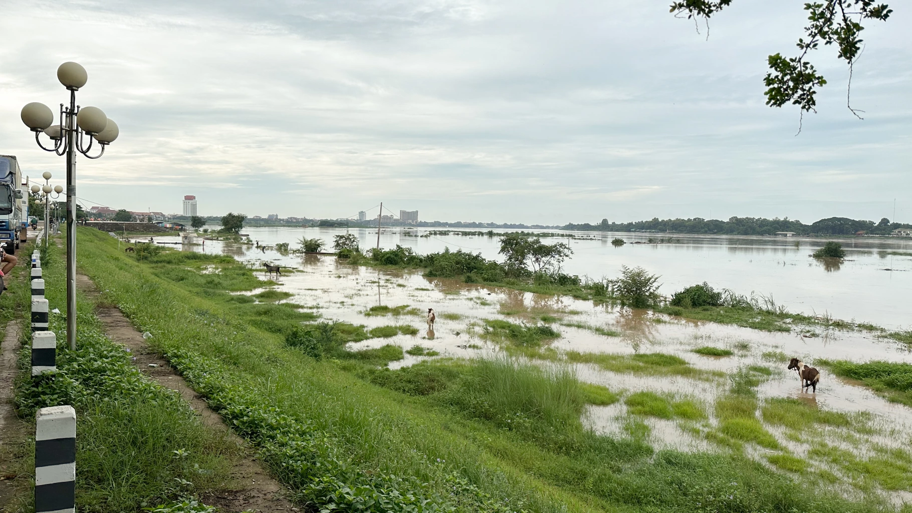 Mekong River water levels are on the rise