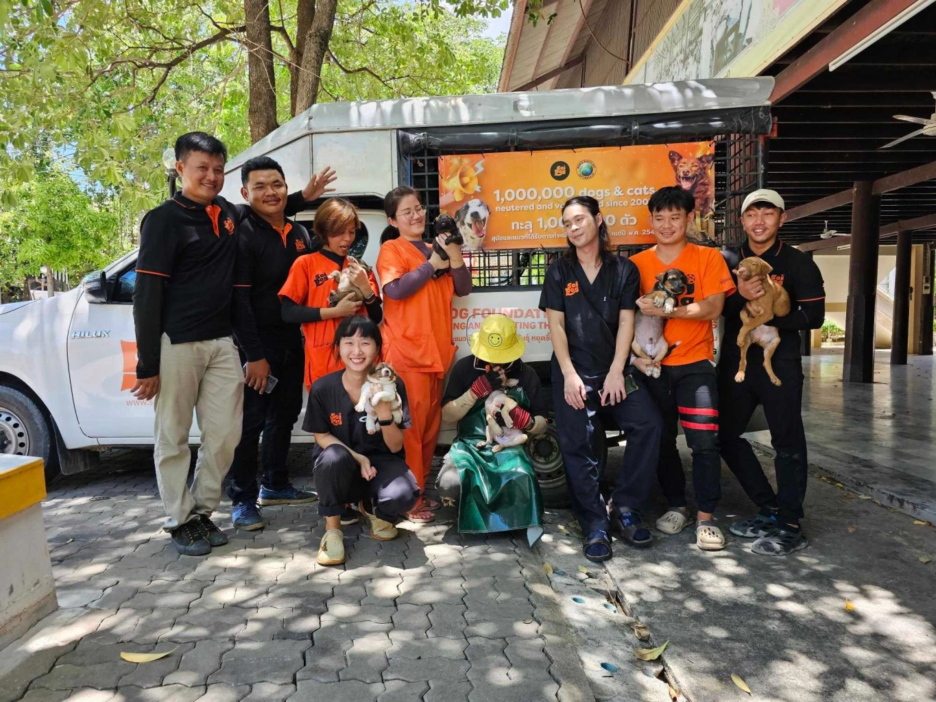 Stray puppy becomes millionth animal to be neutered and vaccinated by ...