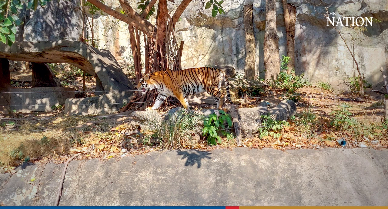 Klook draws a line under animal attractions