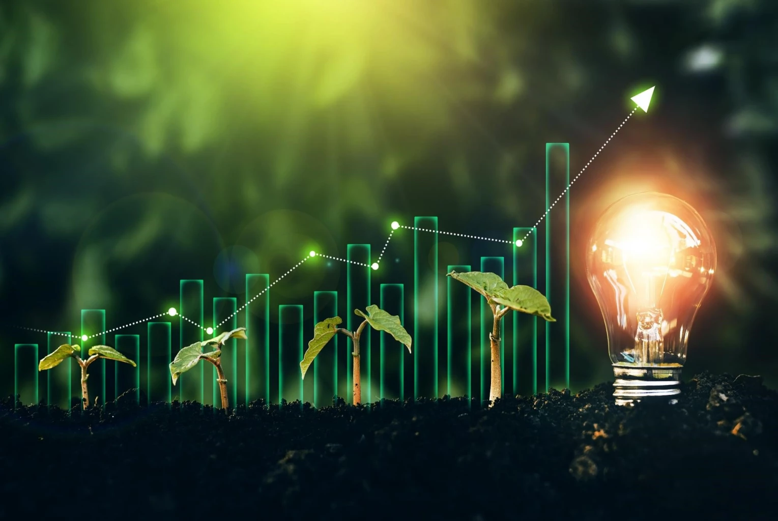 ISSB and financial reporting standards related to sustainability disclosure