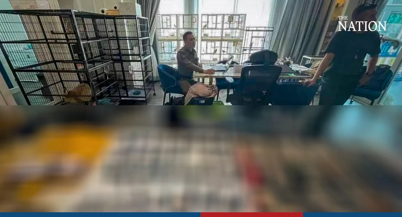 Police raid finds 87 guns, over 4,500 ammo in famous YouTuber’s house