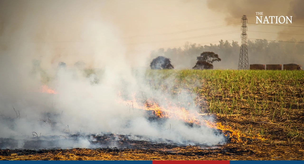 Ministries to clamp down on crop burning as pollution levels rise