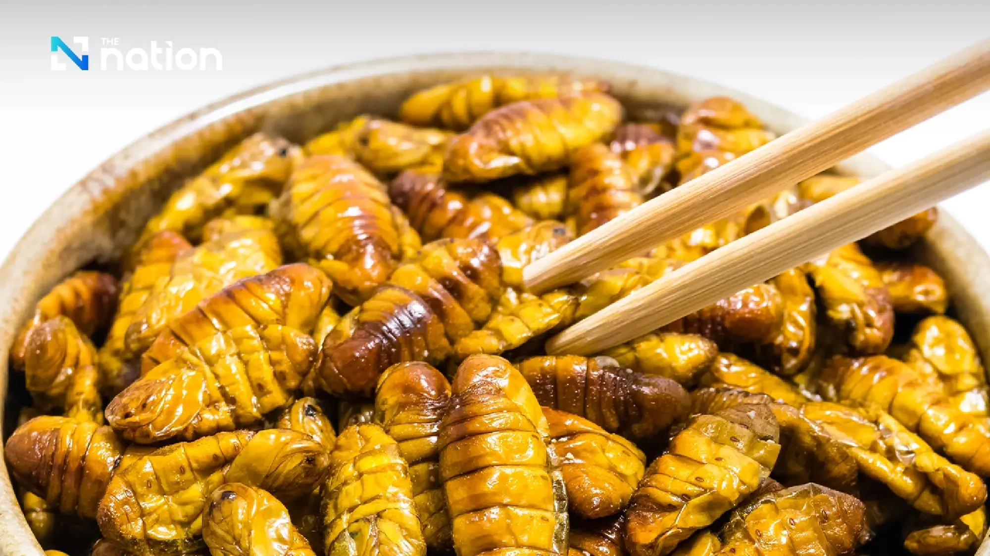 Fried silkworm vendor in Satun says sales doubled after rating as second-worst deep-fried dish