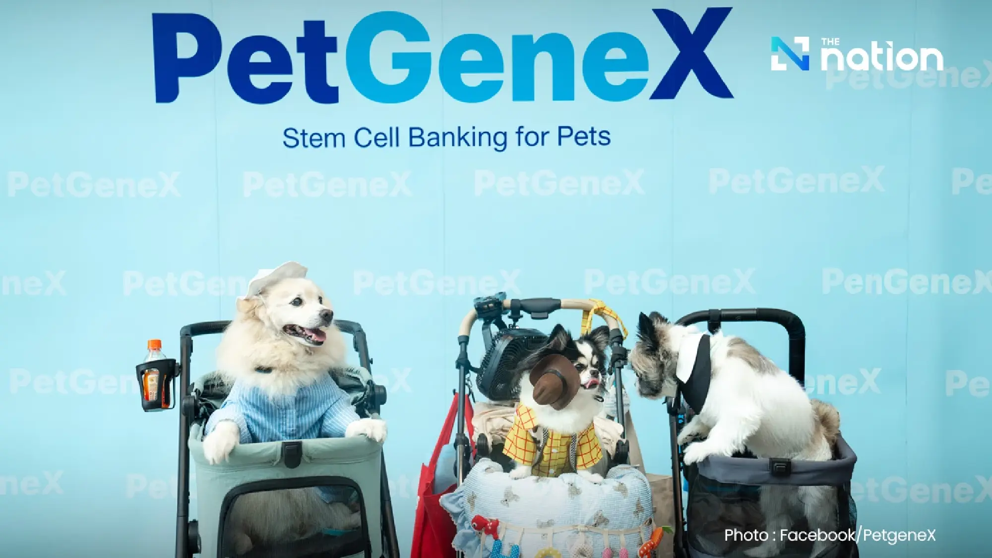 PetGeneX teams up with NIA to launch Thailand’s first pet stem cell bank