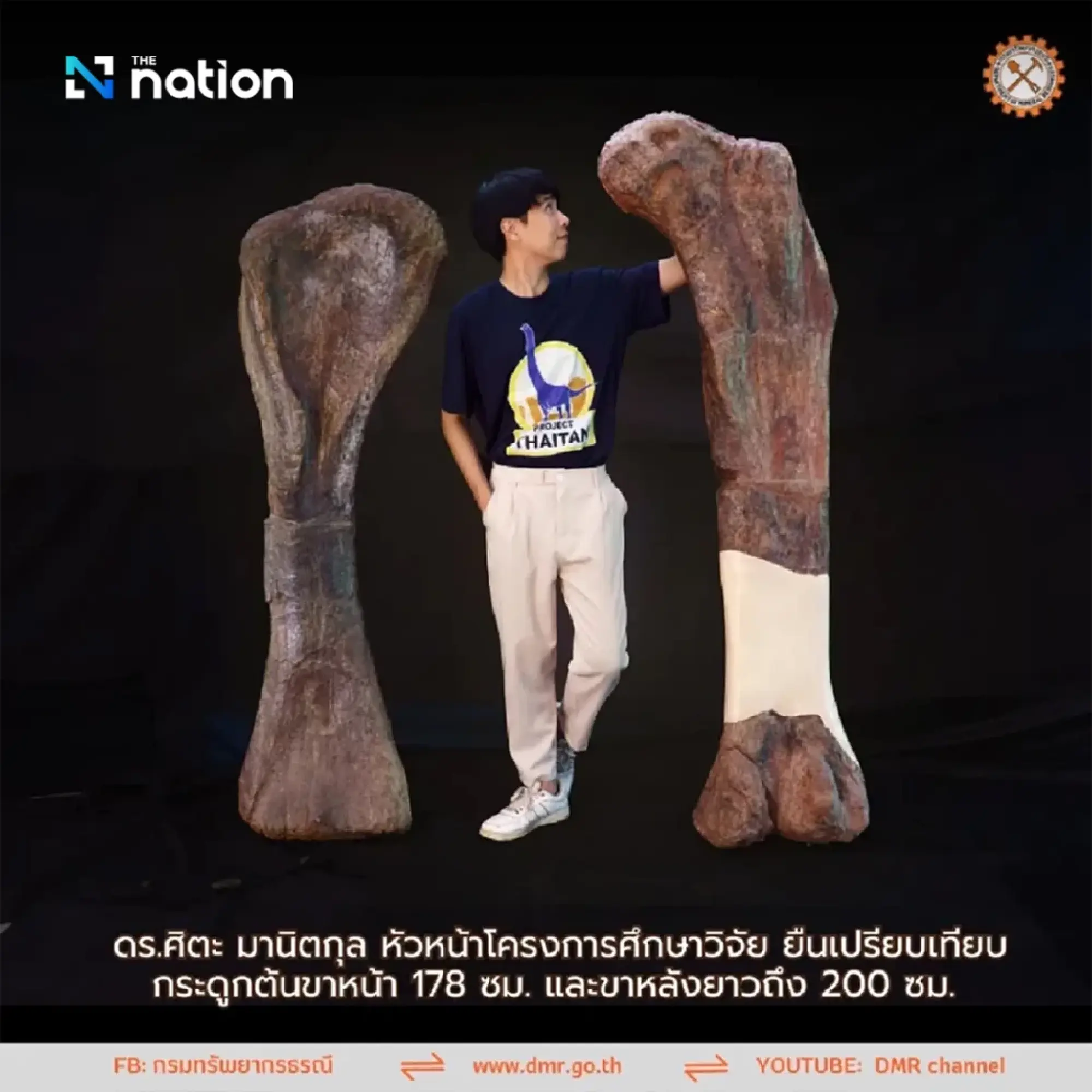 New giant dinosaur species found in Thailand’s Chaiyaphum