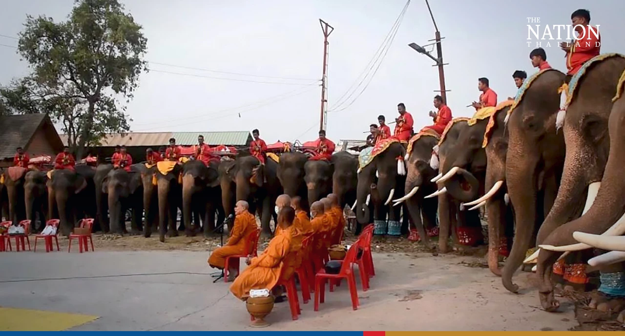 Jumbo banquet served up in Ayutthaya camp to mark National Elephant Day