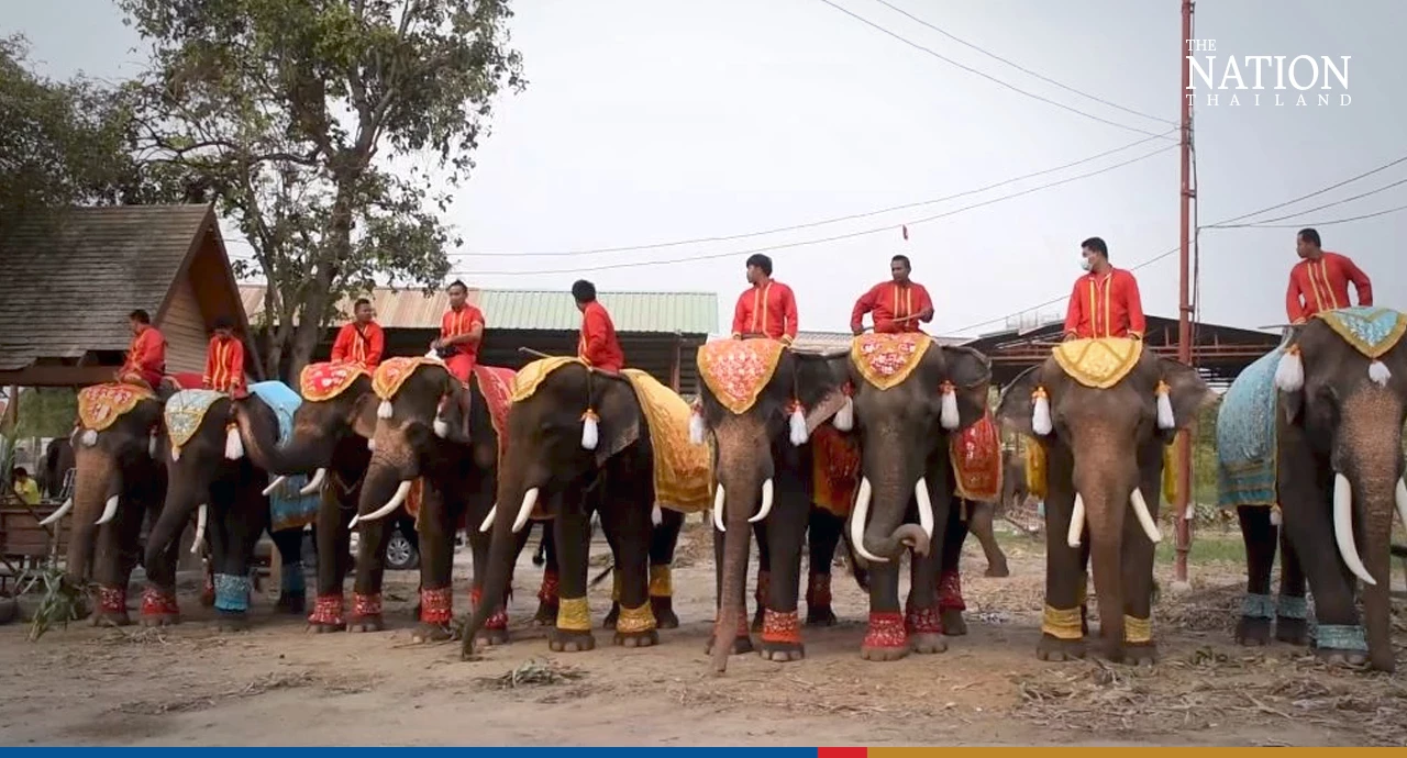 Jumbo banquet served up in Ayutthaya camp to mark National Elephant Day