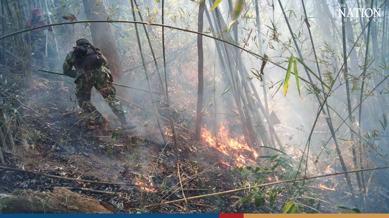 Shivering fox cubs rescued from forest fire in Lampang