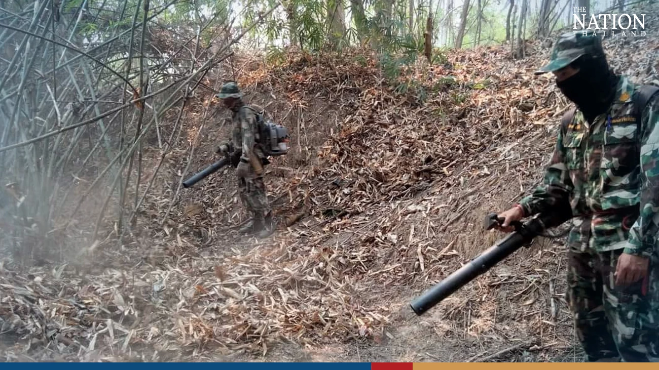 Shivering fox cubs rescued from forest fire in Lampang