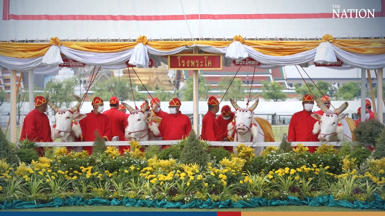 Royal Ploughing Ceremony forecasts bumper crops and prosperity for year ...