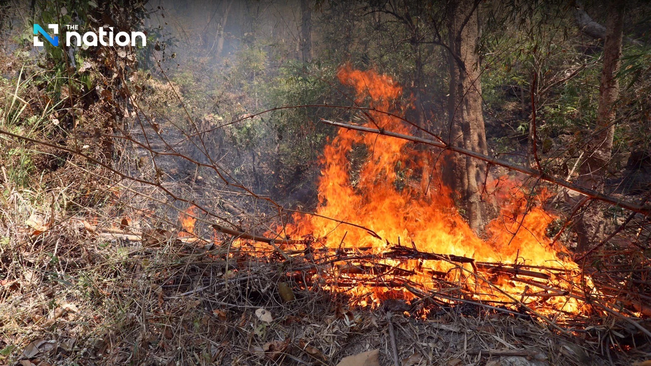 Park officials wage uphill battle to control forest fires in Chiang Mai
