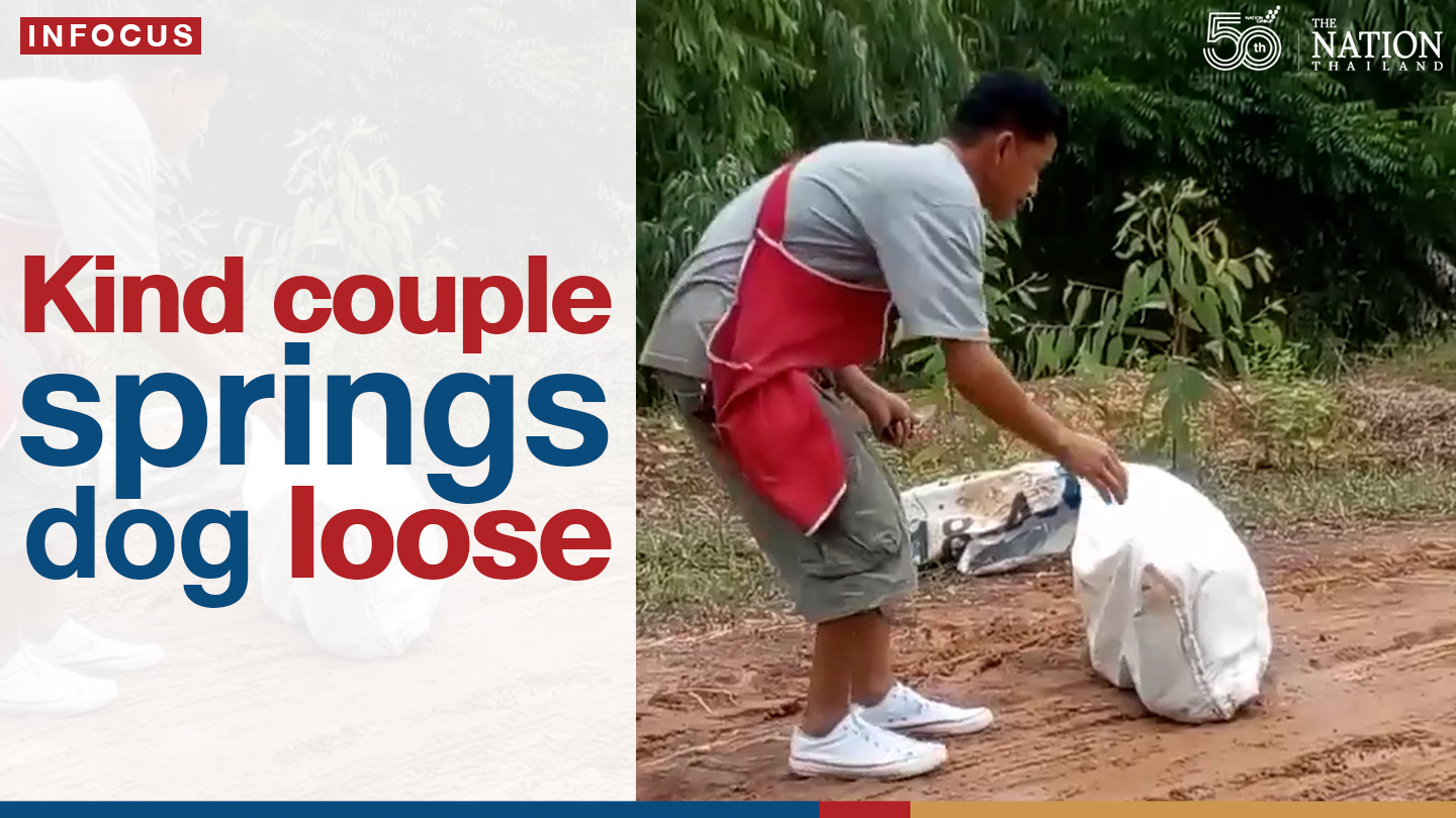 Kind couple springs dog loose
