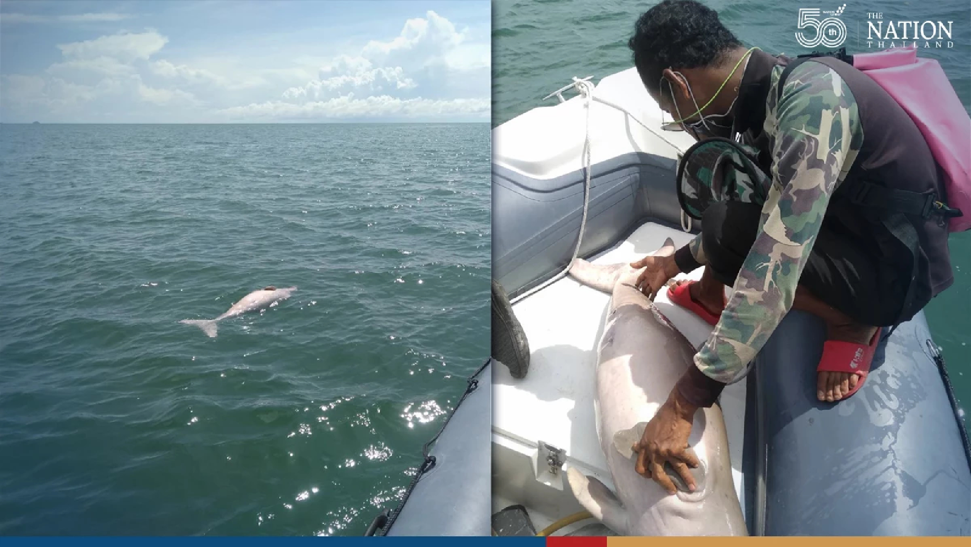 Dugong carcass found in Trang’s Laem Lookmai Beach
