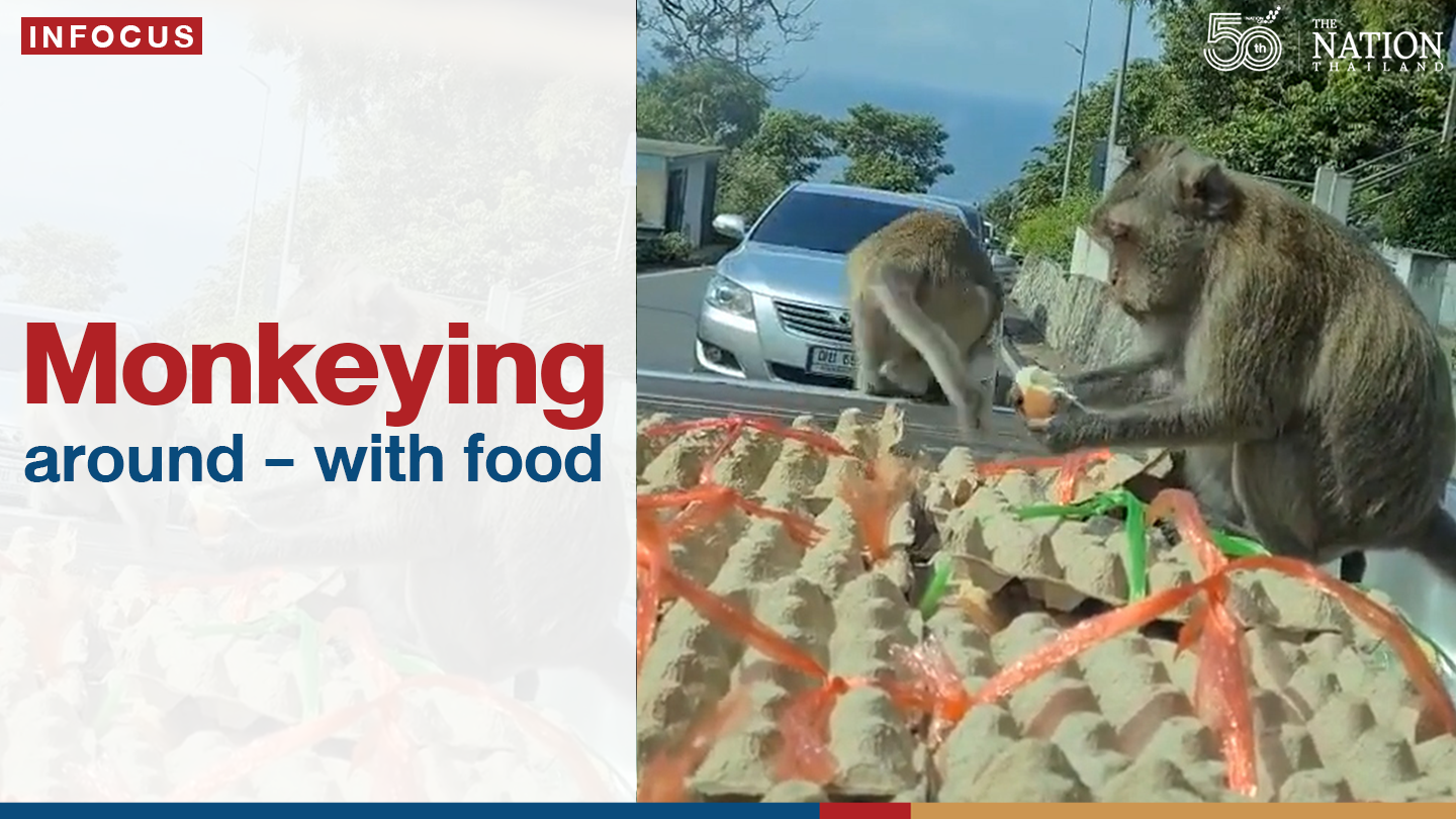 Monkeying around – with food