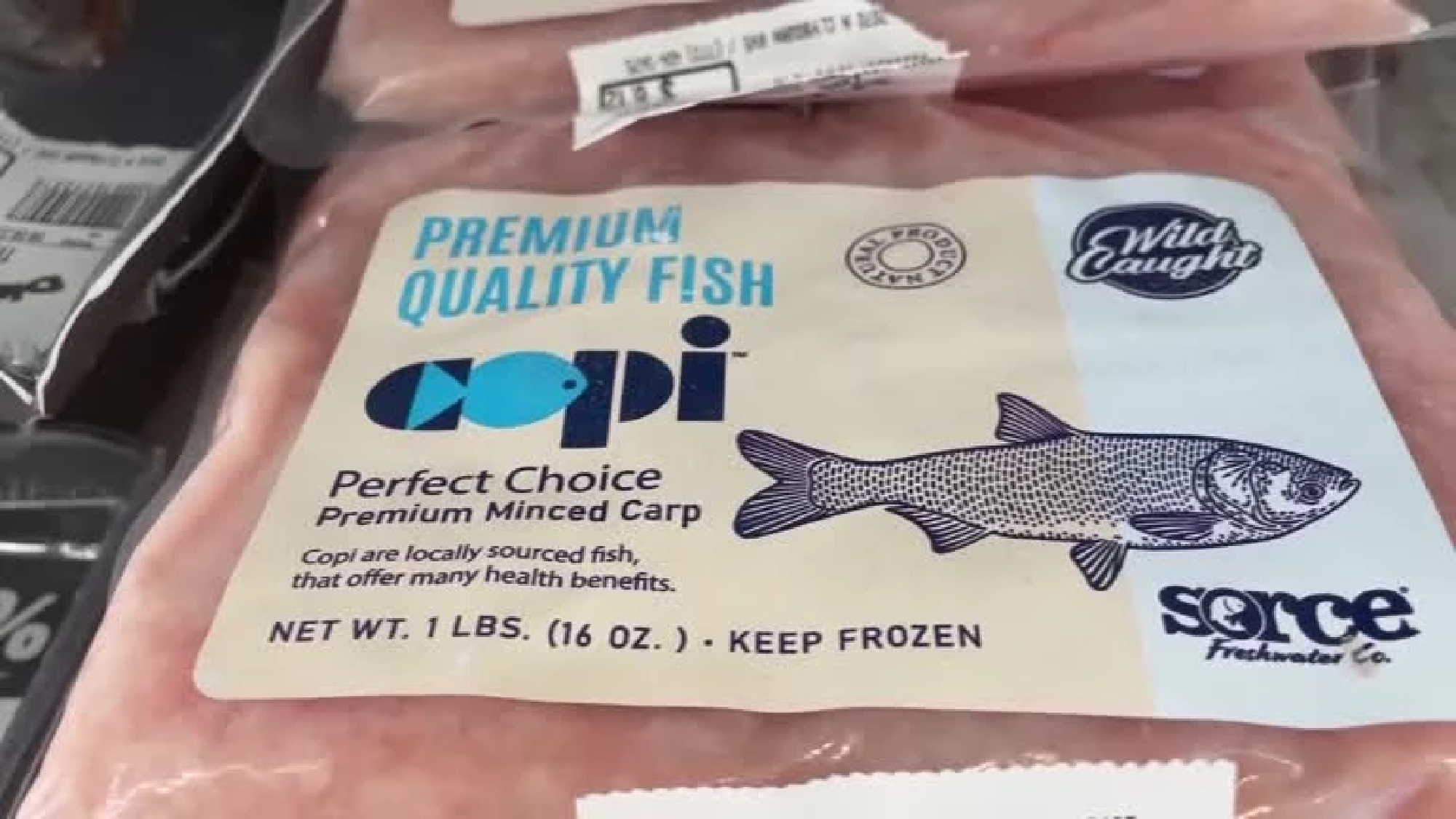 What's in a name? Illinois trying to make invasive Asian carp fish more ...