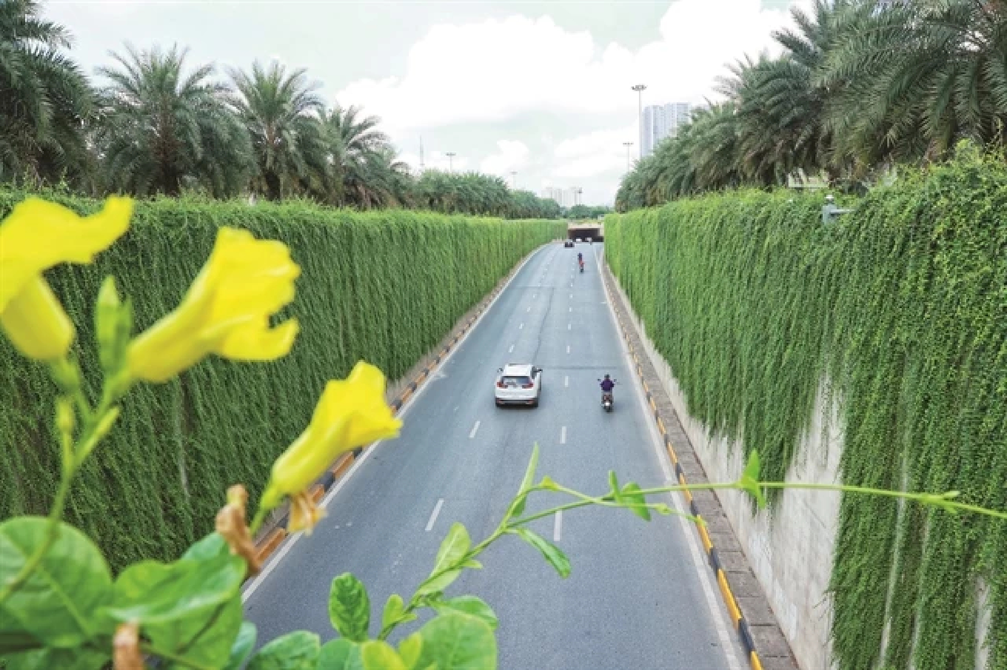 Hanoi greening urban roads as Vietnam pursues ambitious goal