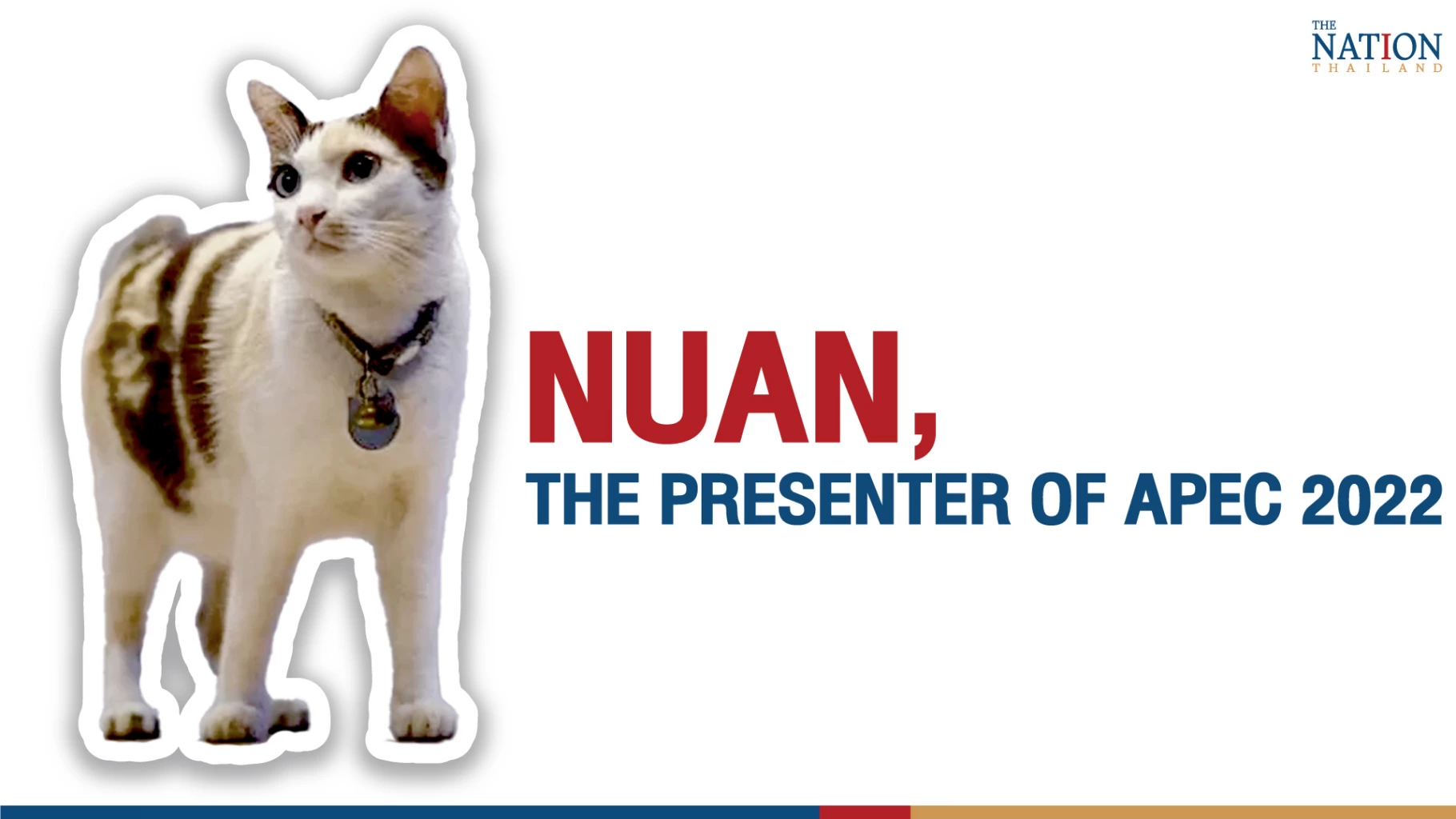 Nuan, The Presenter of Apec 2022
