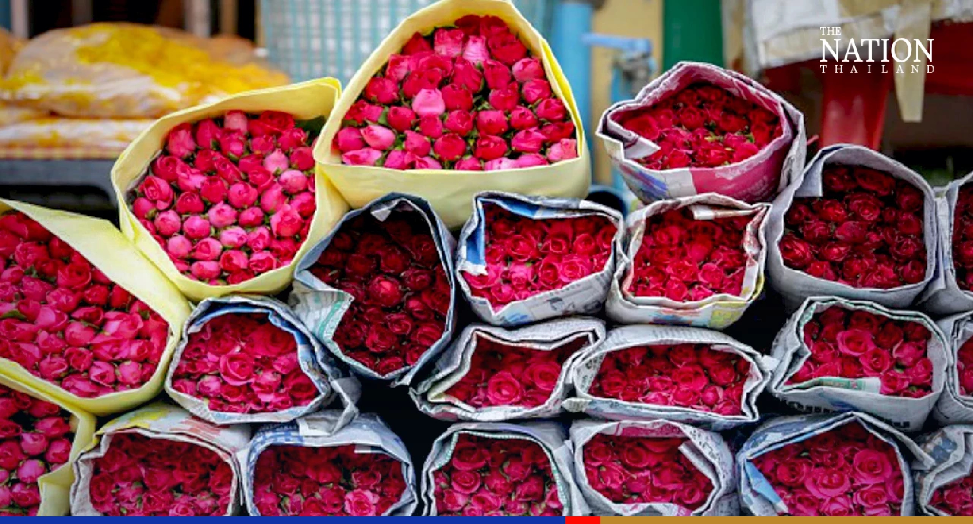 Rose price pain for lovers on Valentine’s Day due to lower supply this year