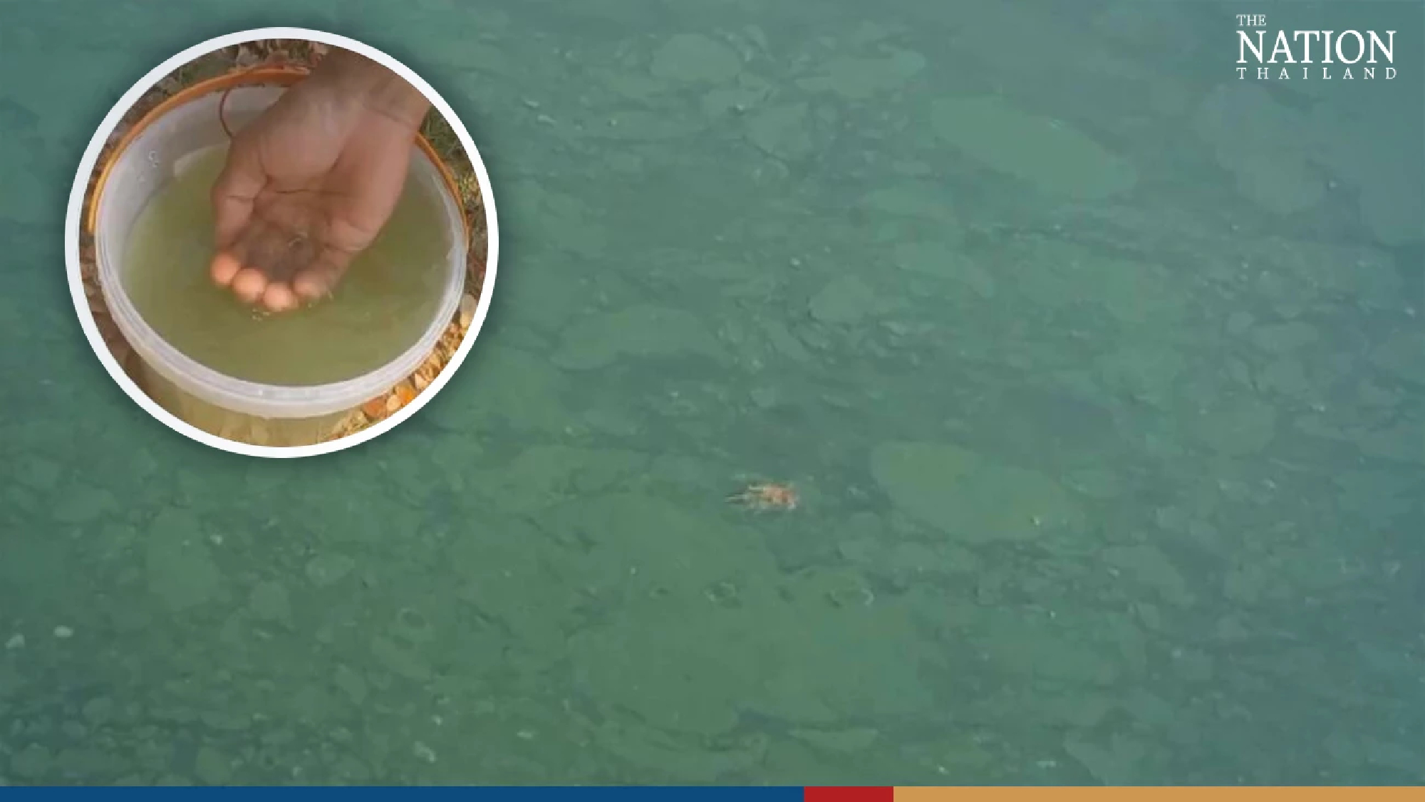 A tourist’s primer: The cleanest and dirtiest rivers, and the best beaches