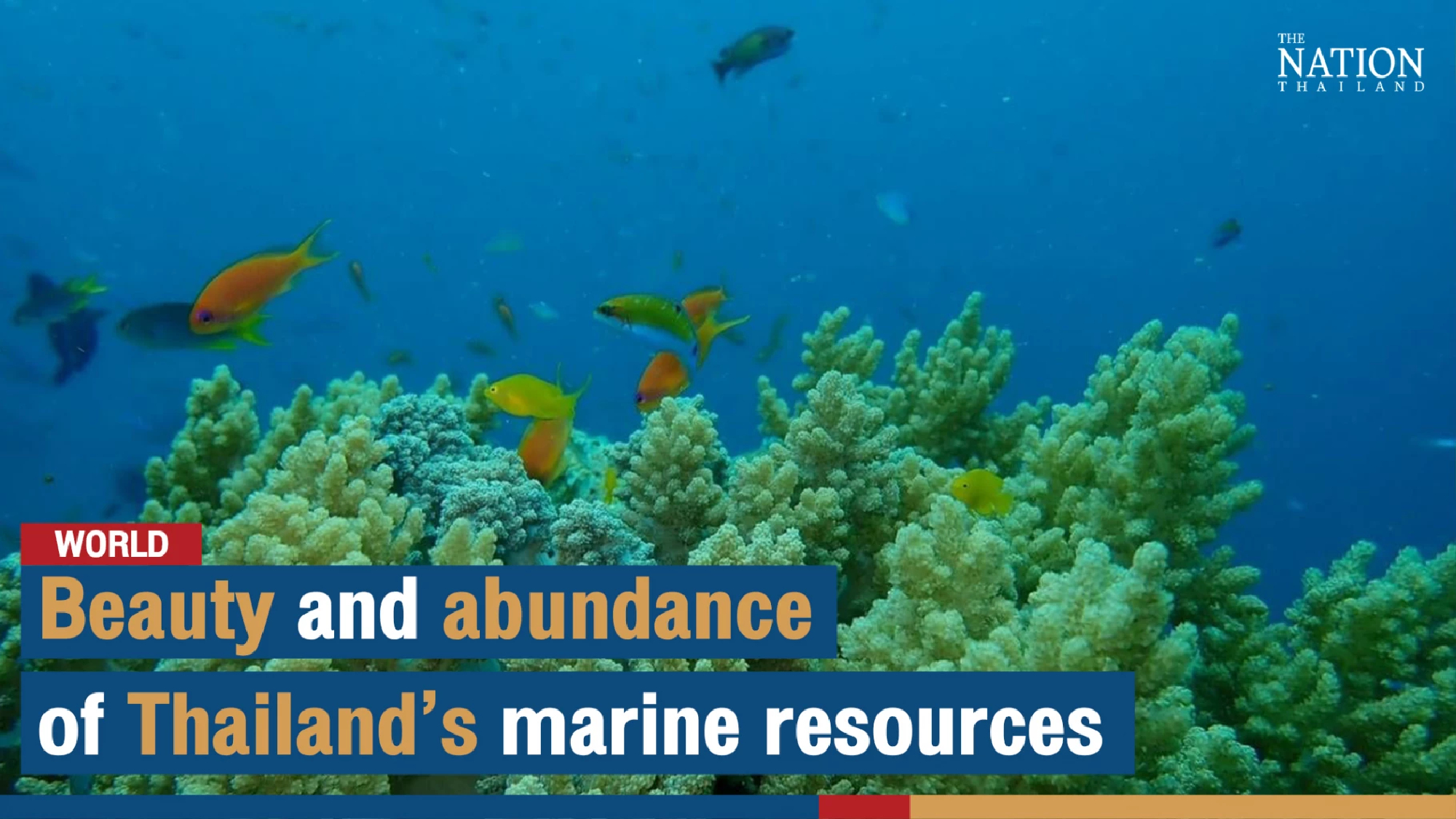 Thailands sweet delights